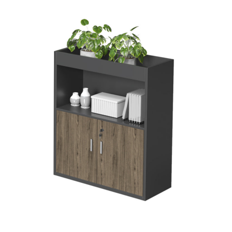 Shop Filing Cabinets Today: Organize With Ease